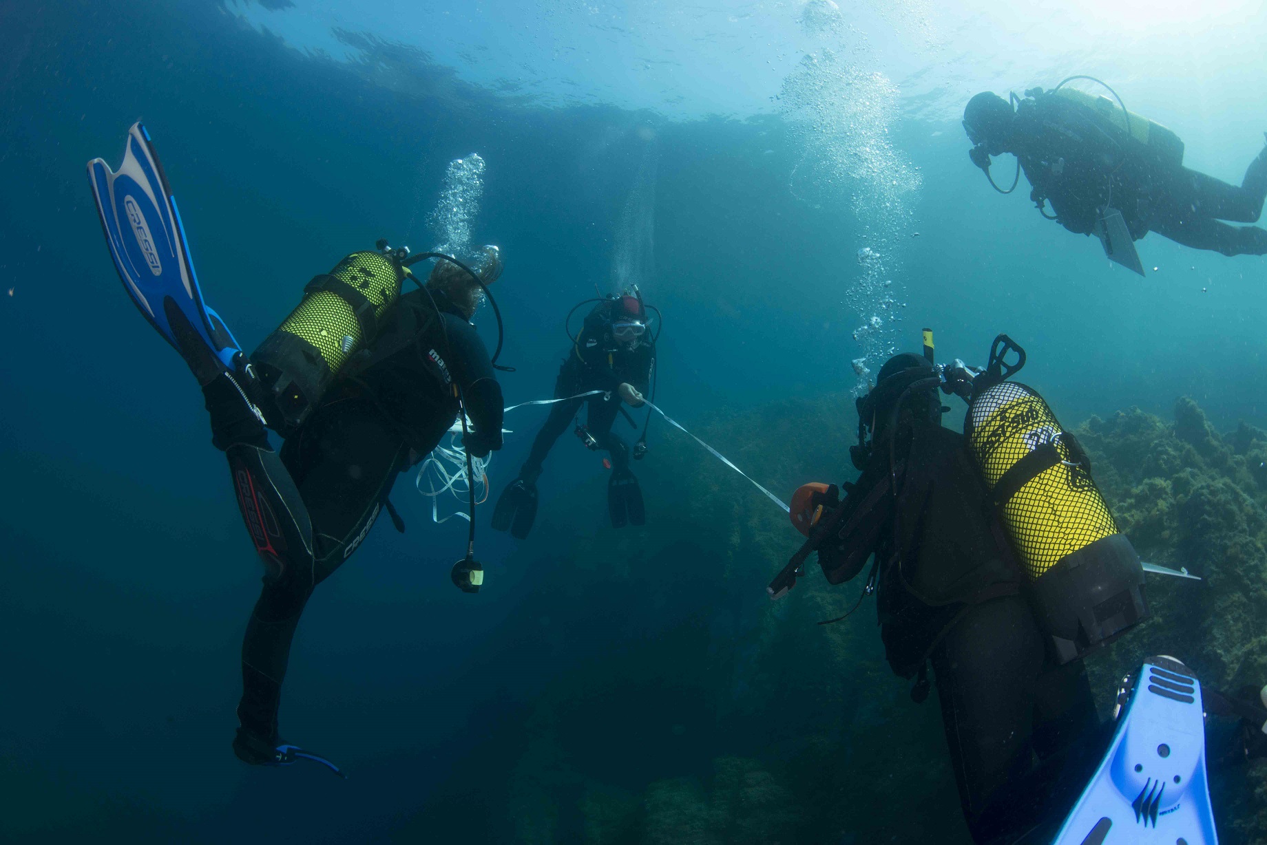 RLS Spain surveys the Balearic Islands - Reef Life Survey