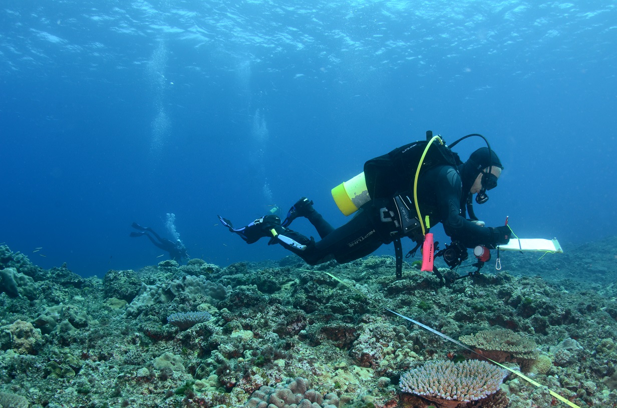 Reef Life Survey in Lord Howe Island, 2018 - Reef Life Survey